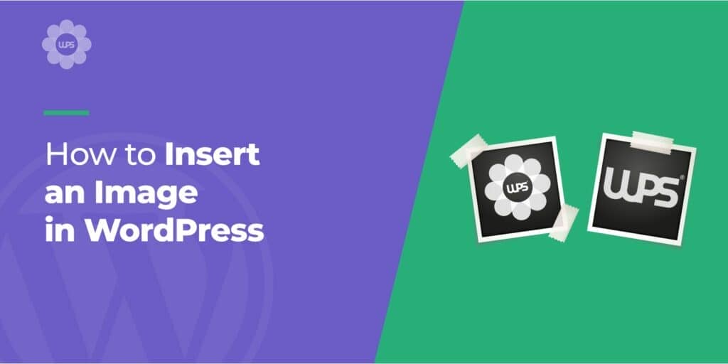 How to Insert an Image in WordPress - WPServices